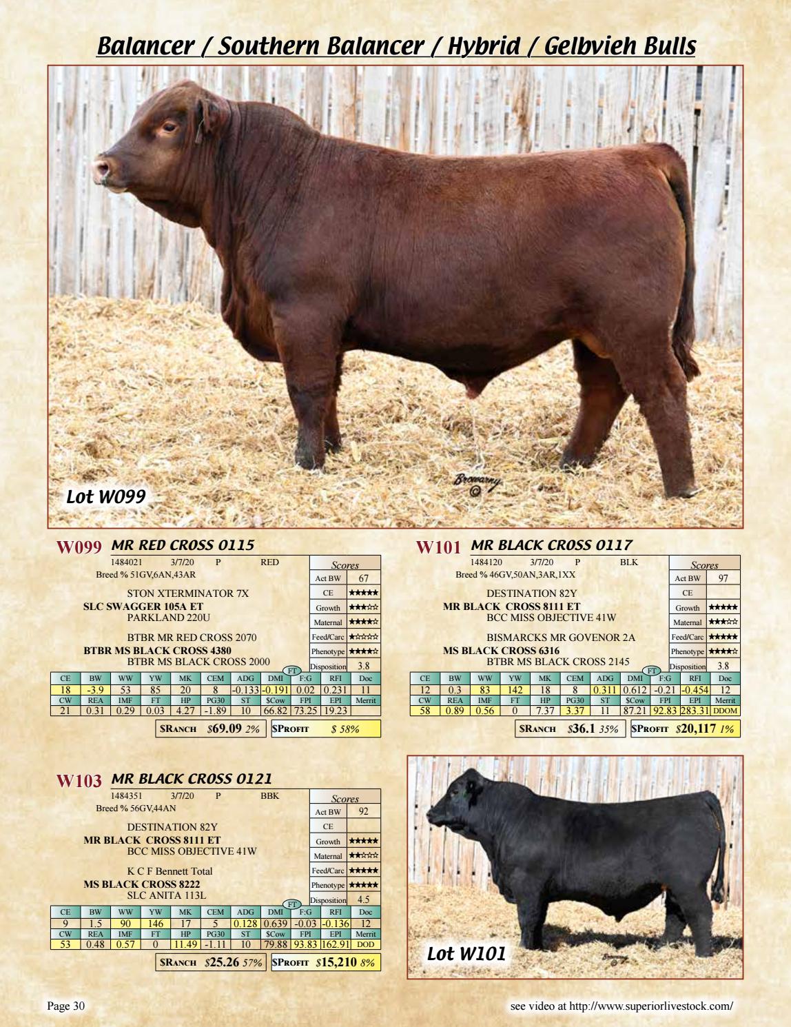 Bar T Bar Ranches 2021 Spring Bull Sale Catalog by leeleachman-msn - Issuu