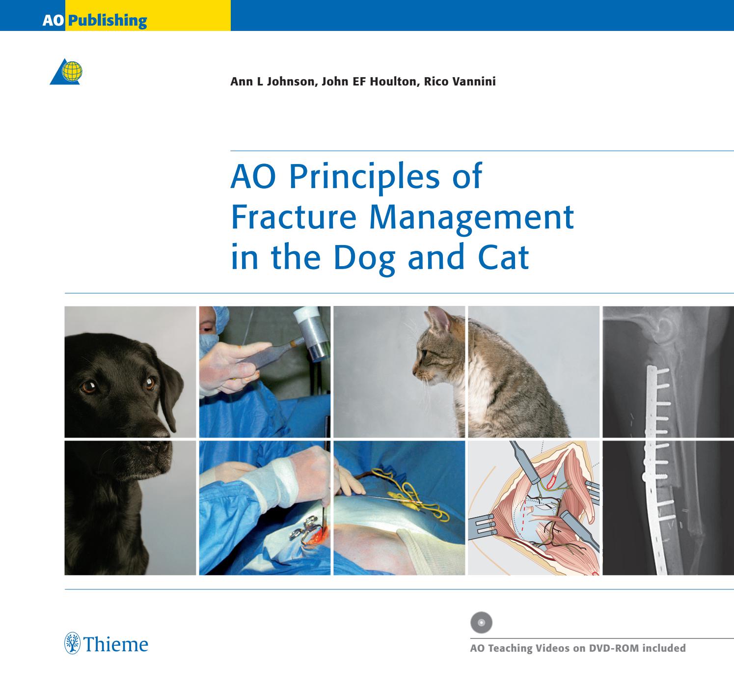 AO VET DogCat book sample by AO Foundation - Issuu
