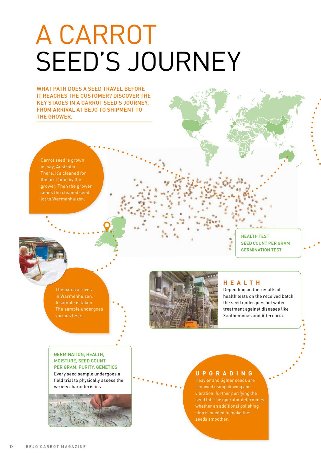 A carrot seed's journey by Bejo Zaden - Issuu
