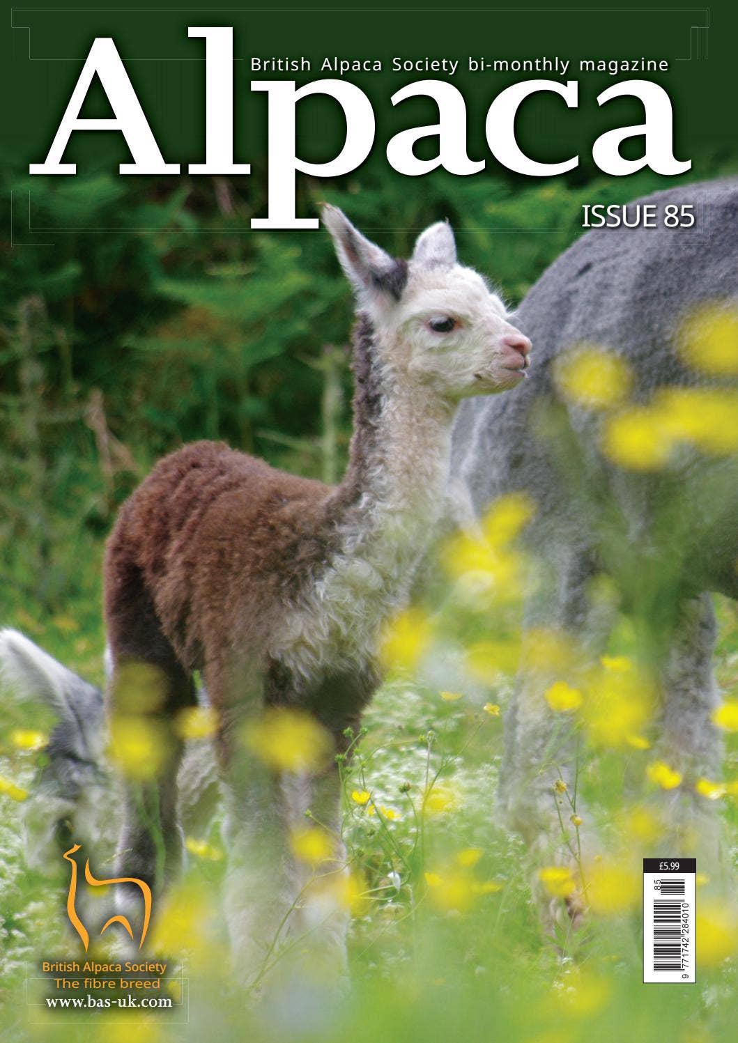Alpaca Issue 85 by KELSEY Media - Issuu