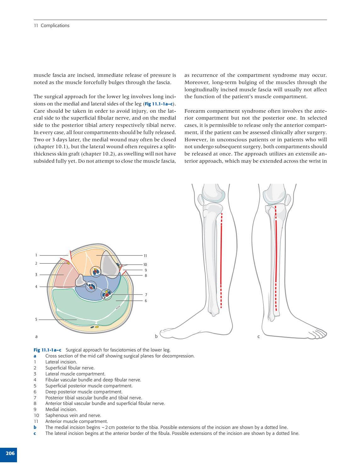 AOT Soft Tissue book sample by AO Foundation - Issuu