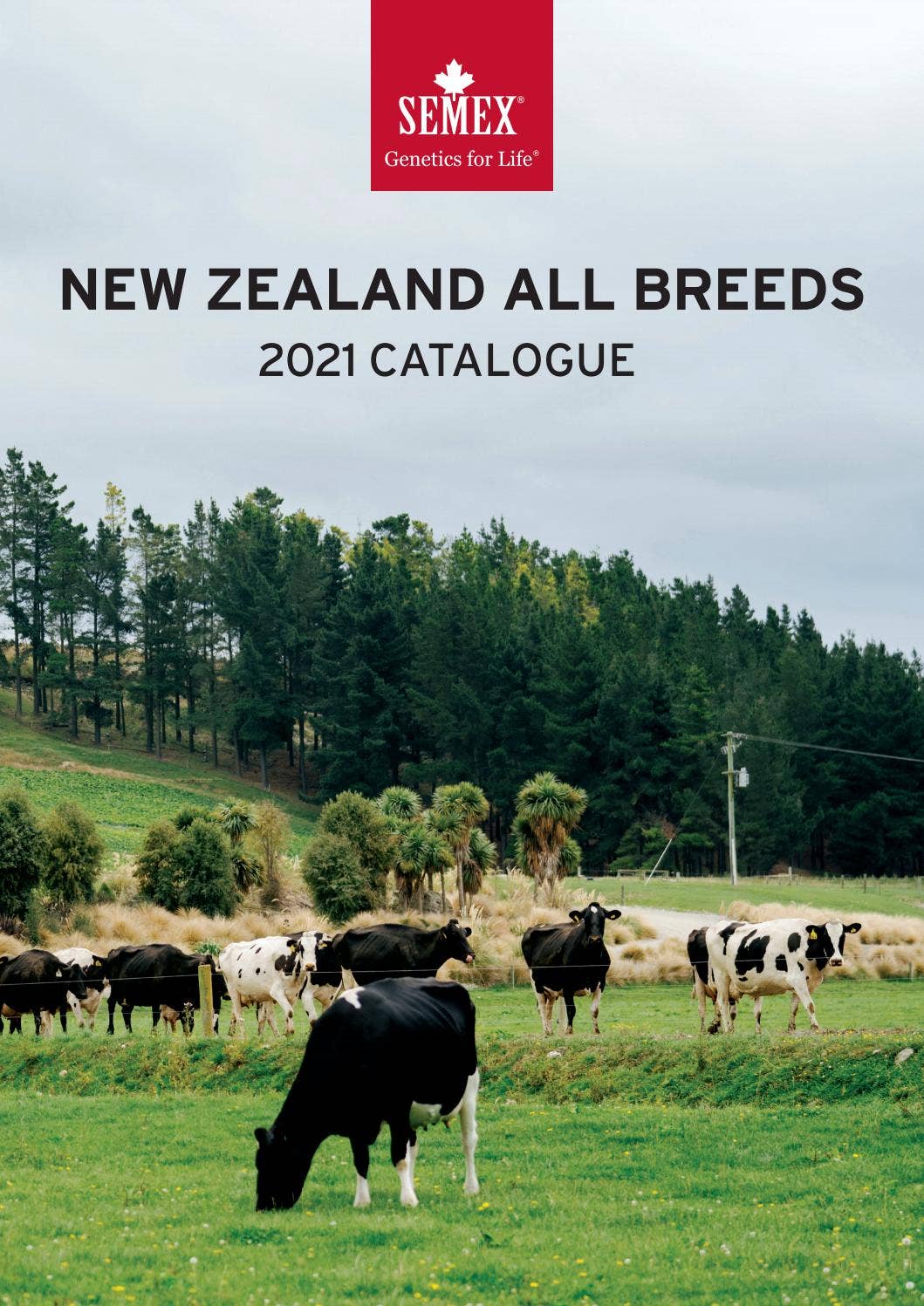 Semex New Zealand 2021 All Breeds Sire Catalogue by Semex - Issuu
