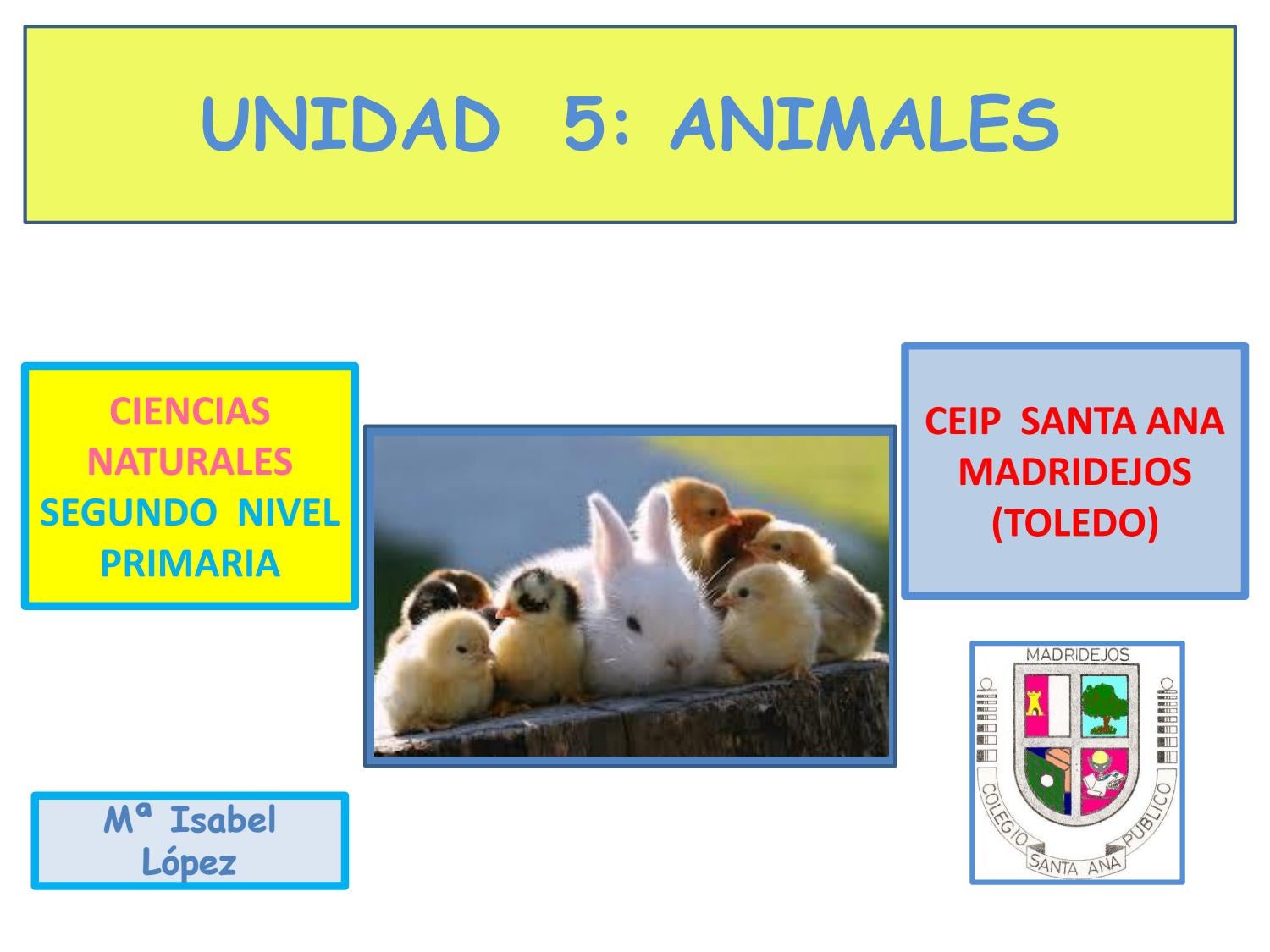 Los animales by ILopezD - Issuu
