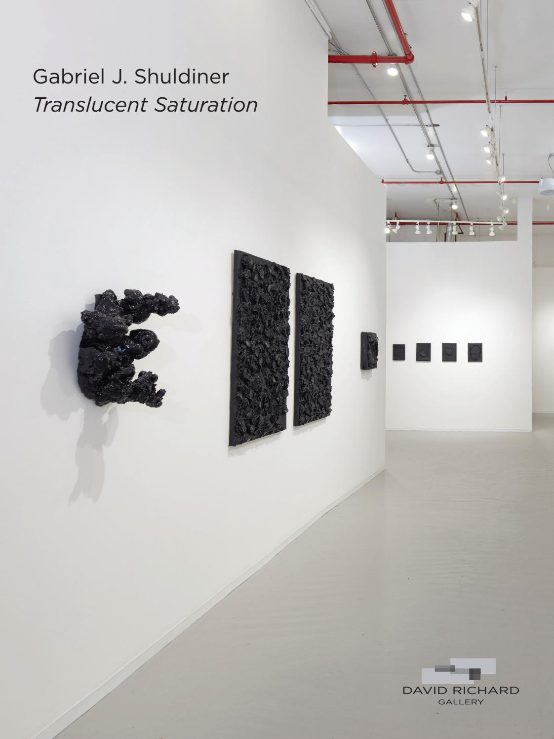Gabriel J. Shuldiner "Translucent Saturation" by David Richard Gallery ...