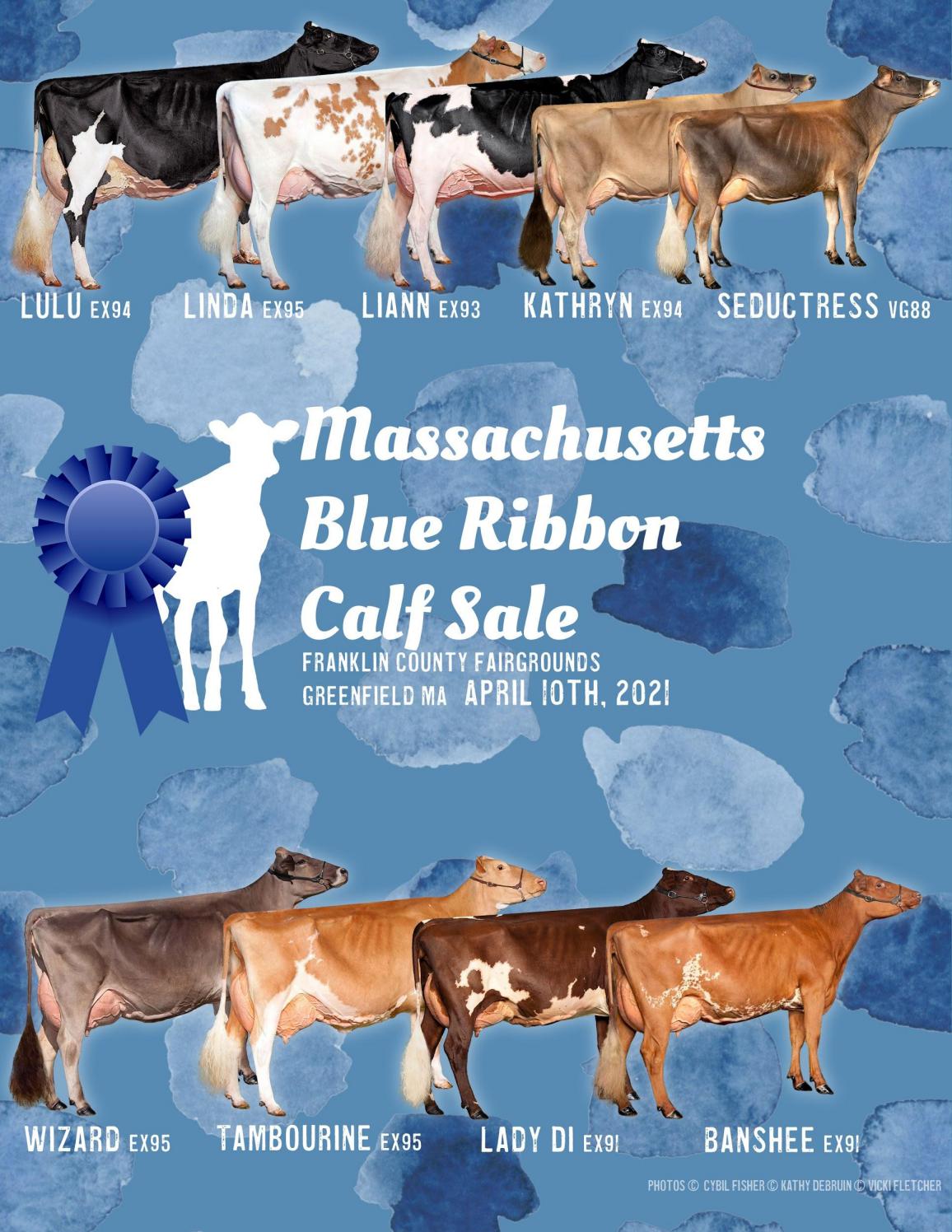 2021 Massachusetts Blue Ribbon Calf Sale by katelynm.poitras - Issuu
