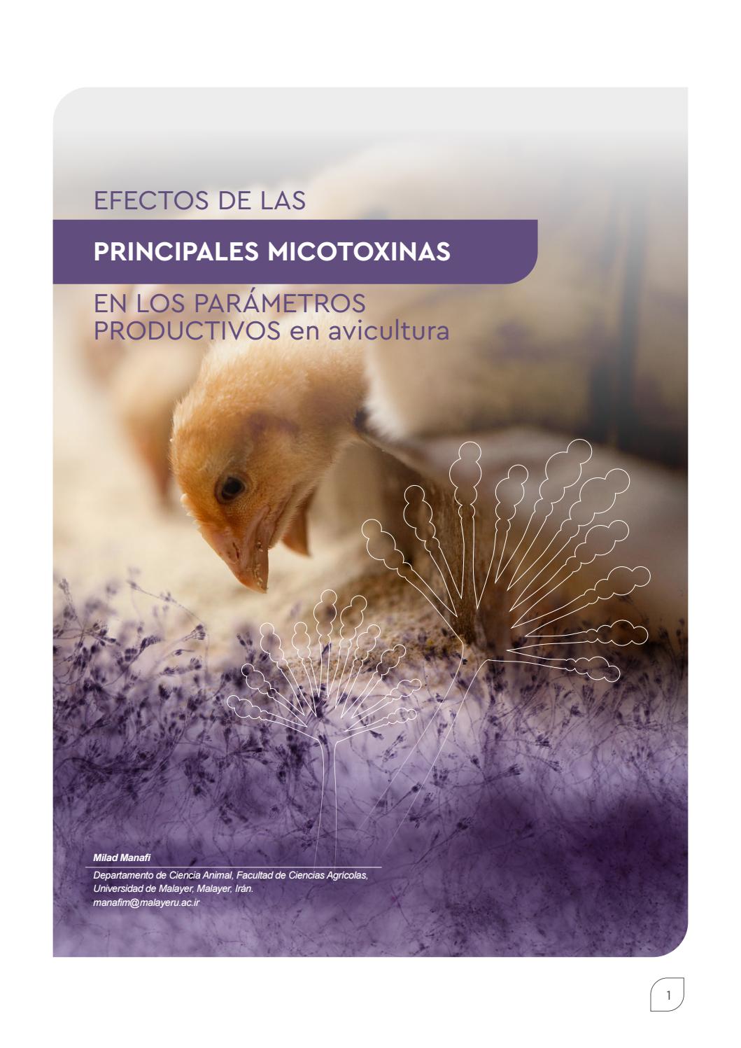 Efectos de las principales micotoxinas en los parámetros productivos en ...