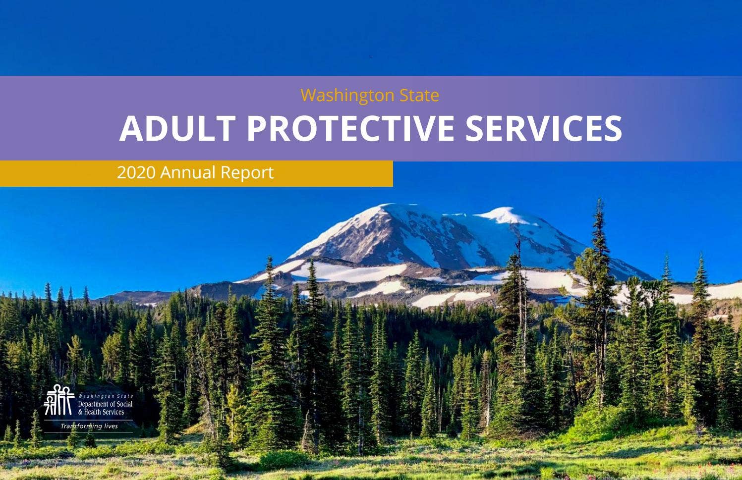 Adult Protective Services 2020 Annual Report by dshs_altsa - Issuu