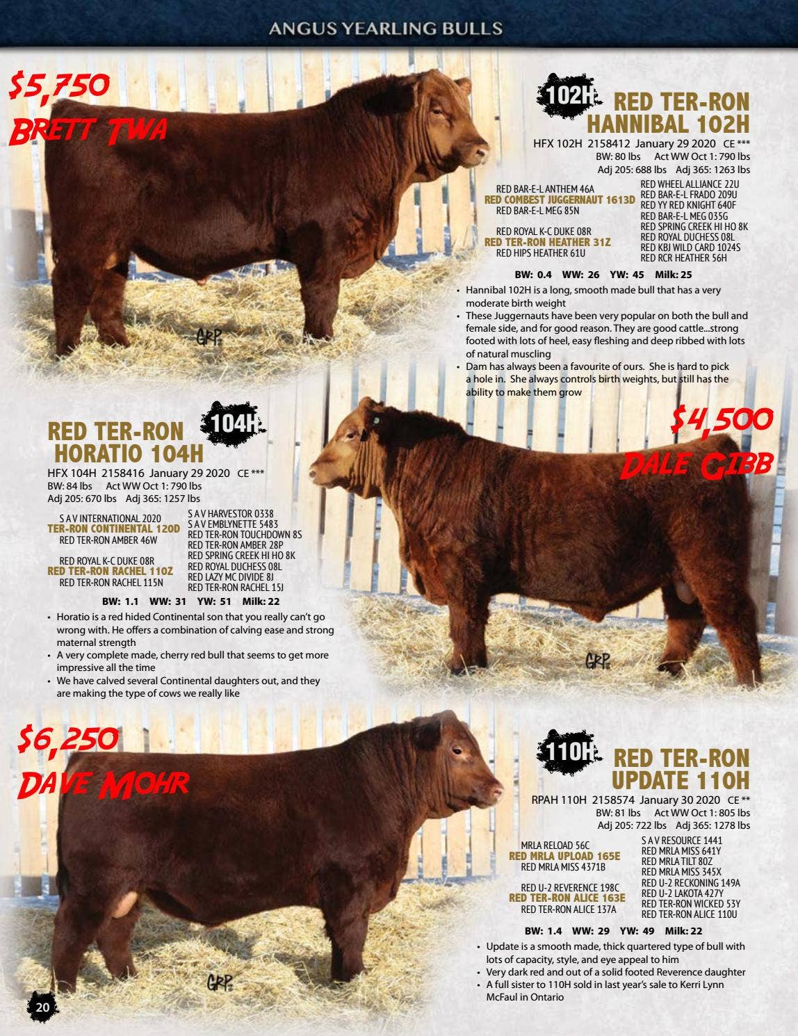 Ter-Ron Farms 16th Annual Bull & Select Female Sale :: SALE RESULTS by ...