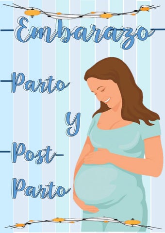 Cartilla del Embarazo by Nicol Rodriguez - Issuu