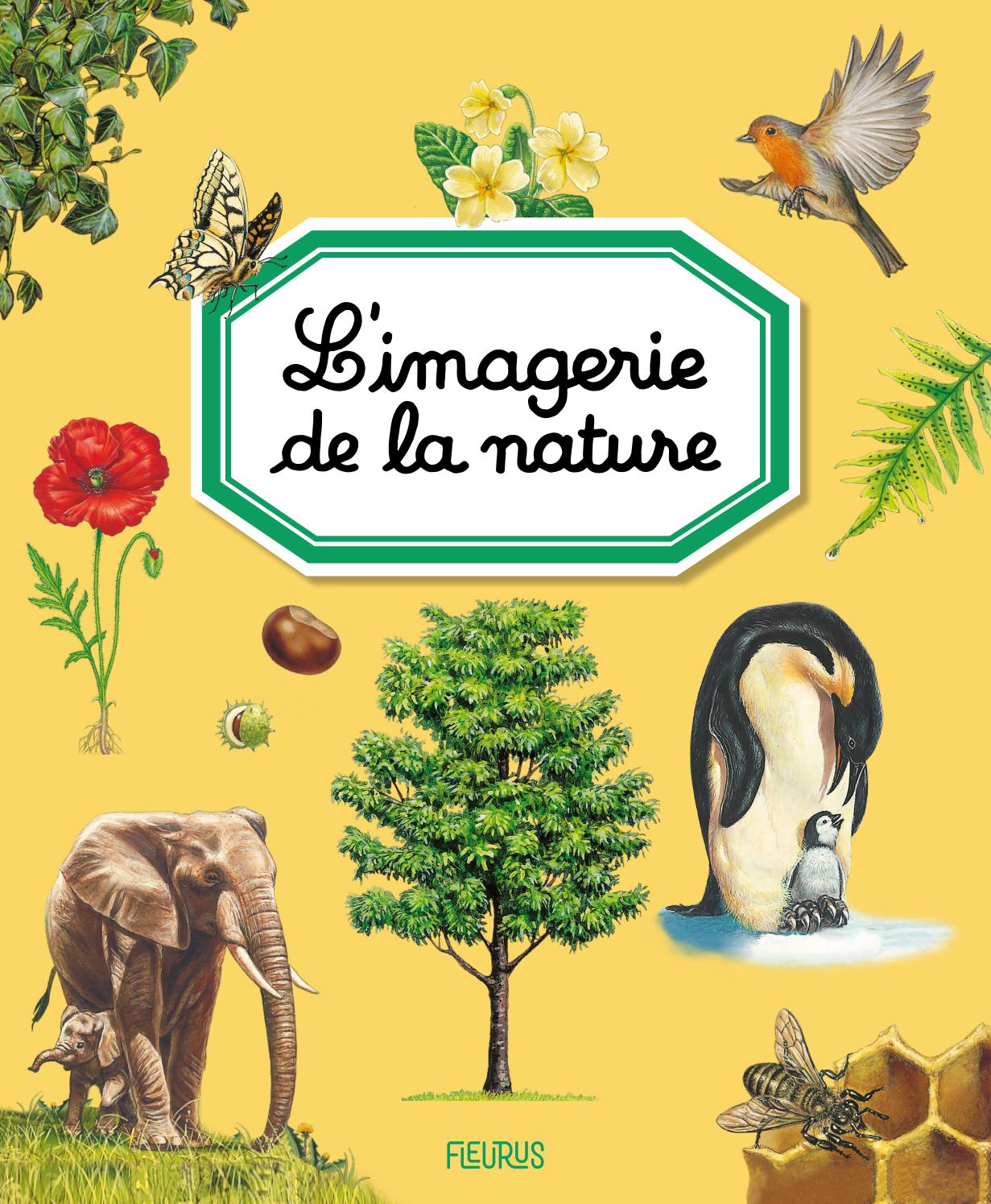 L'imagerie de la nature by Fleurus Editions - Issuu