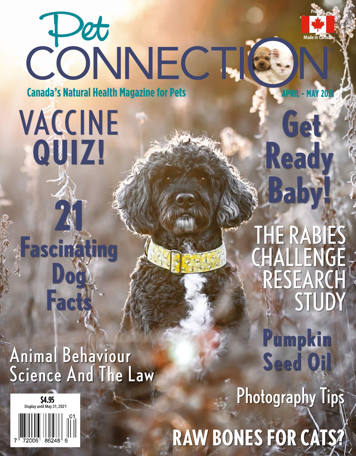 Pet Connection Canada Apr/May 2021 Issue by Pet Connection - Issuu
