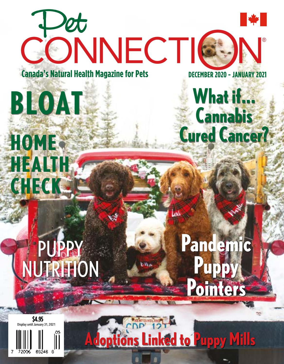 Pet Connection Canada Dec 2020/Jan 2021 Issue by Pet Connection - Issuu
