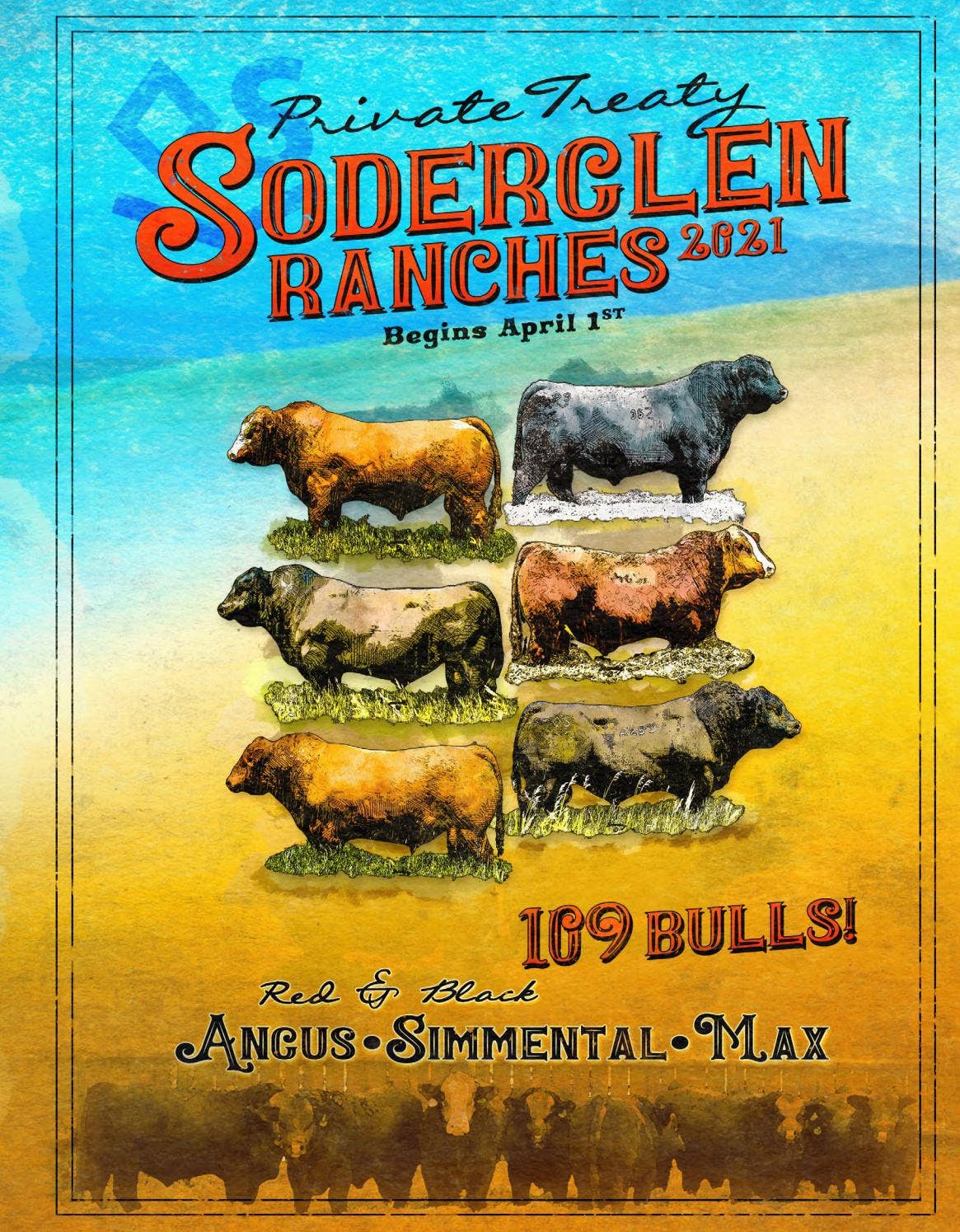 Soderglen Private Treaty Bull Sale Catalogue 2021 by Soderglen Ranches ...