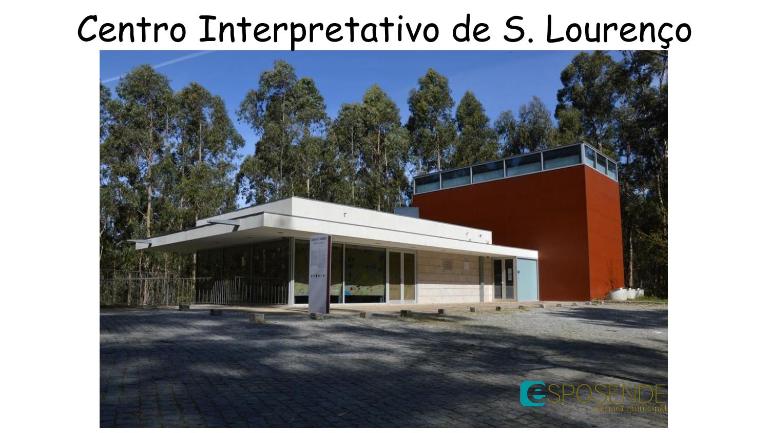 Cara e Coroa, Desafio Caturo by Município de Esposende - Issuu