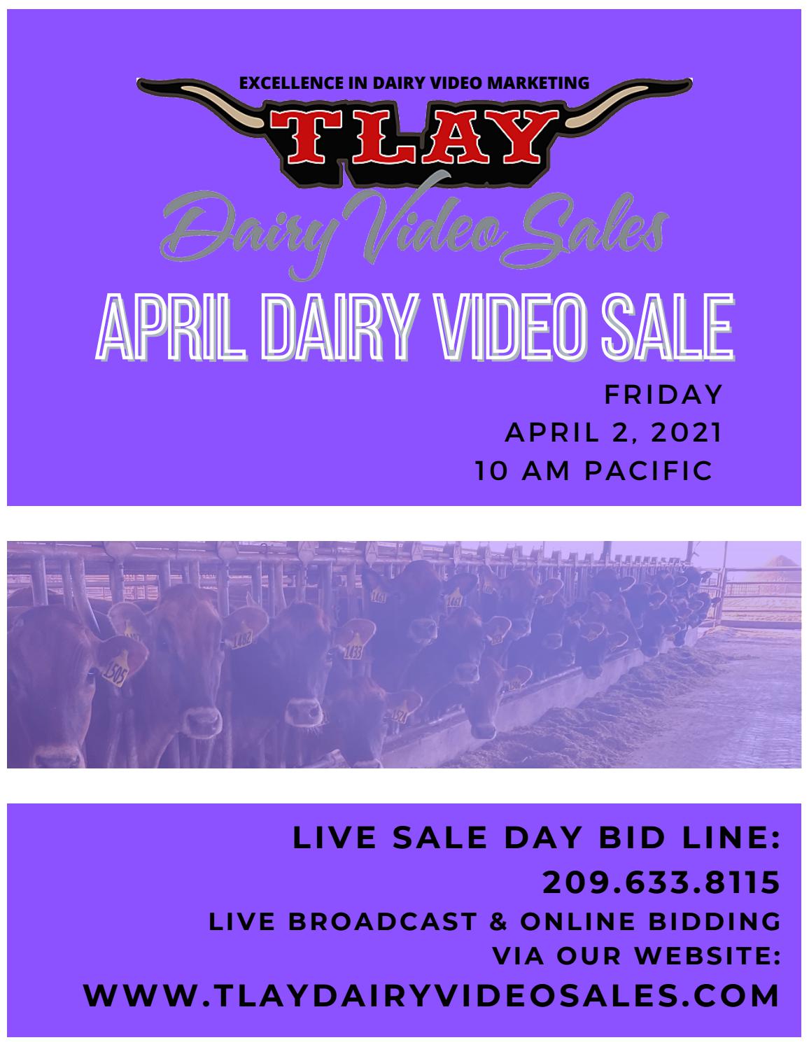 TLAY DVS CATALOG APRIL 2021 by TURLOCK LIVESTOCK AUCTION YARD - Issuu