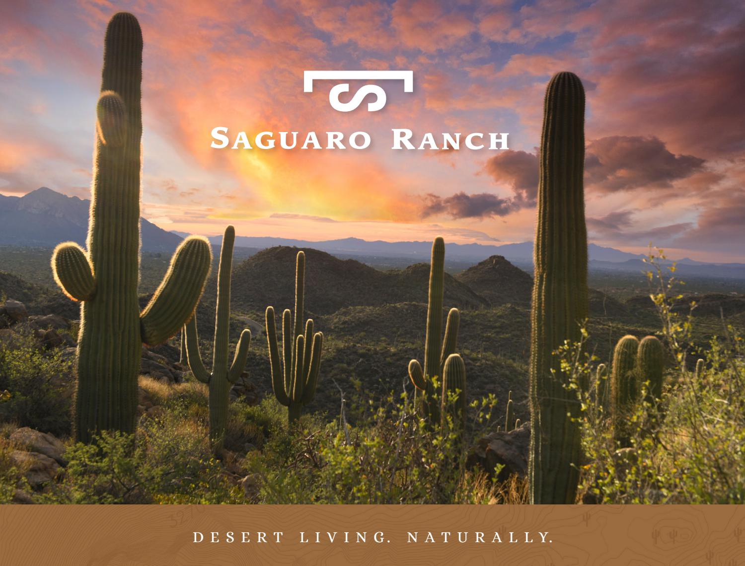 Saguaro Ranch Ranheim Estate Lots by SaguaroRanch - Issuu