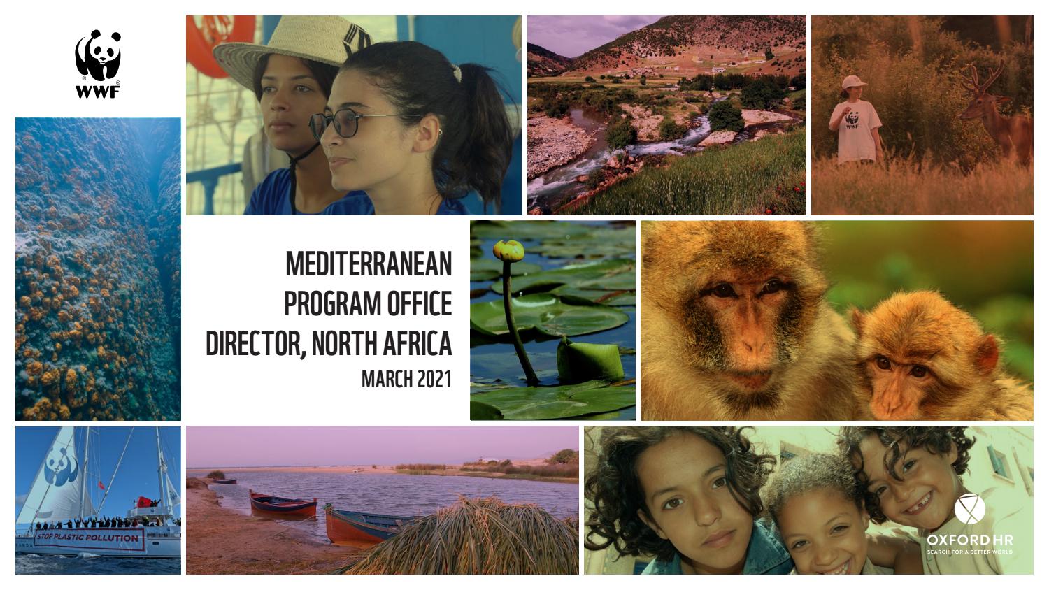 WWF International - Mediterranean Program Office Director, North Africa ...