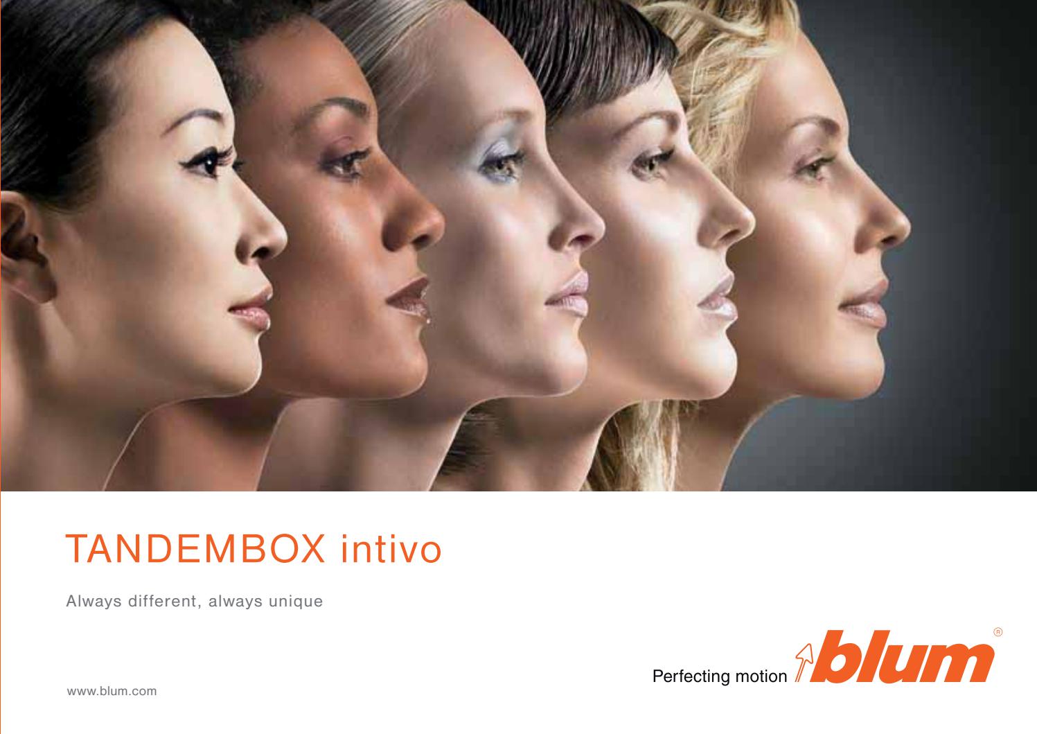 Blum TANDEMBOX intivo by wilsonandbradley - Issuu