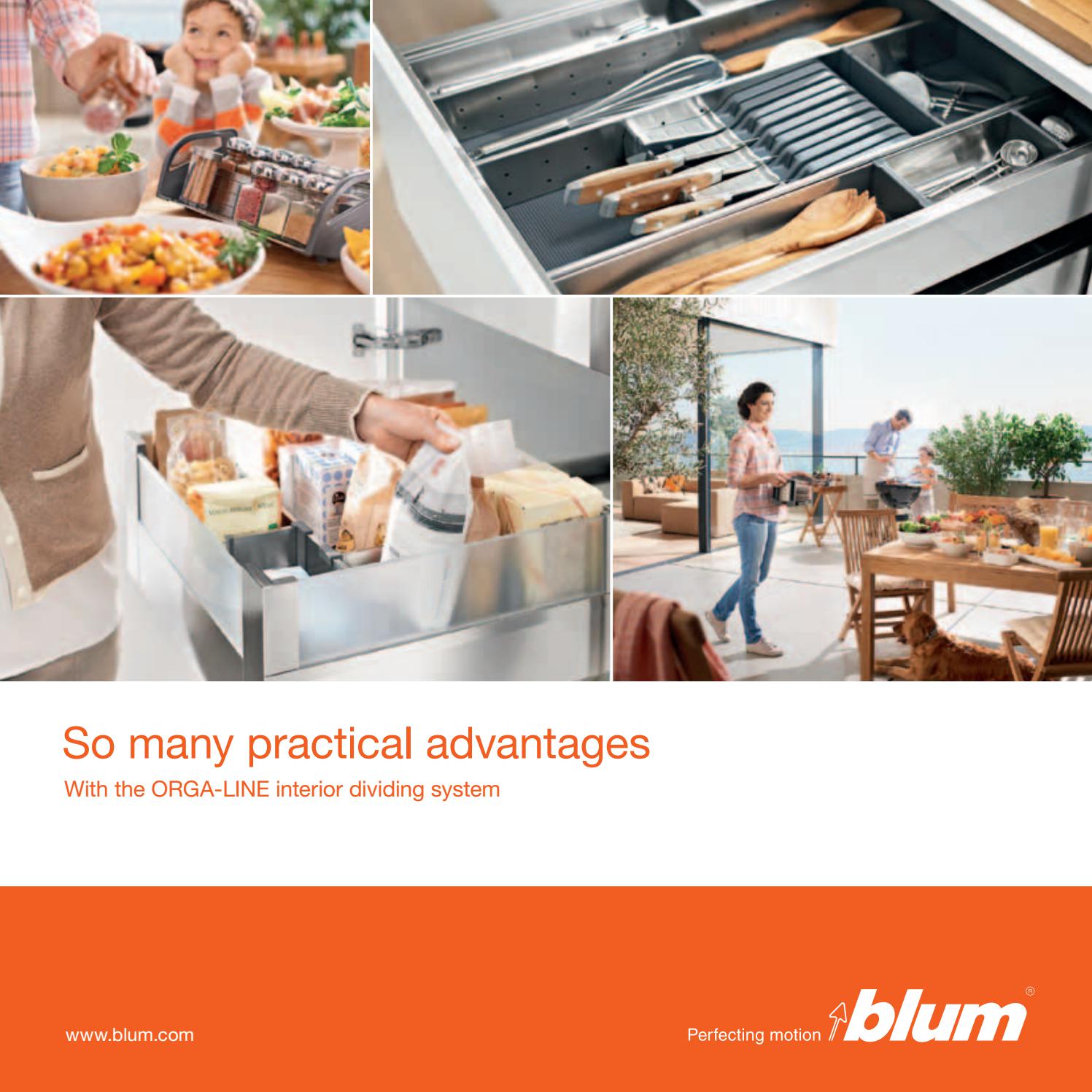 Blum ORGA-LINE Consumer by wilsonandbradley - Issuu