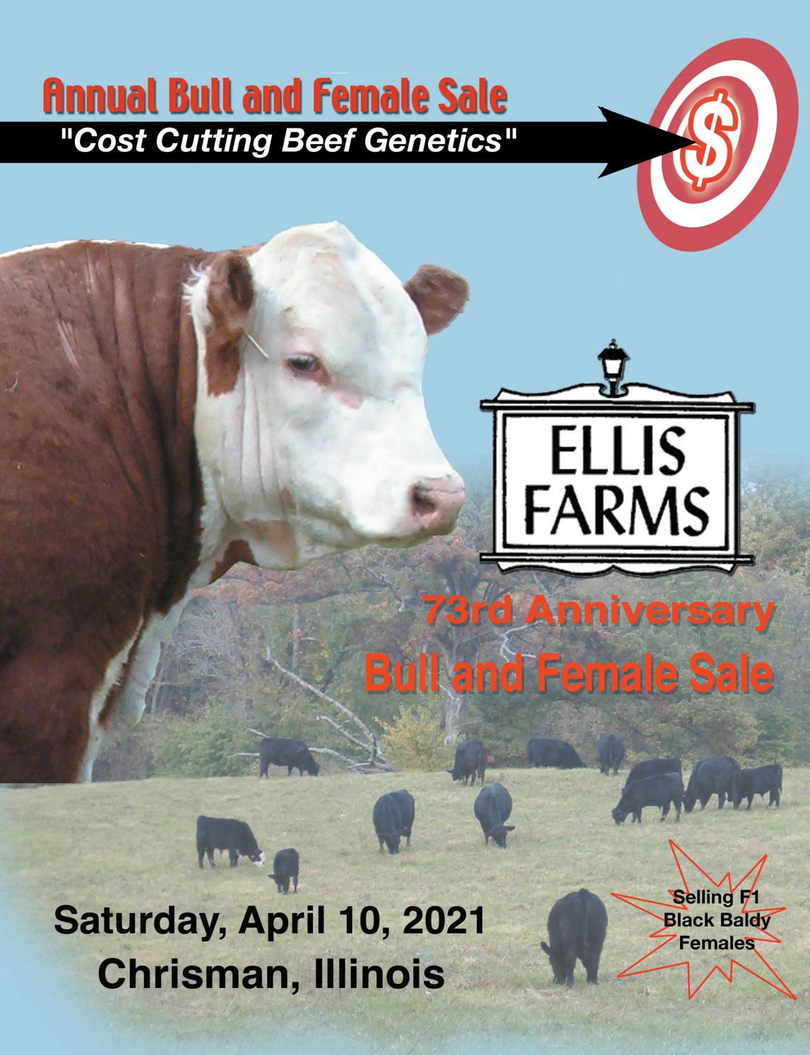 Ellis Farms Bull and Female Sale by American Hereford Association and ...