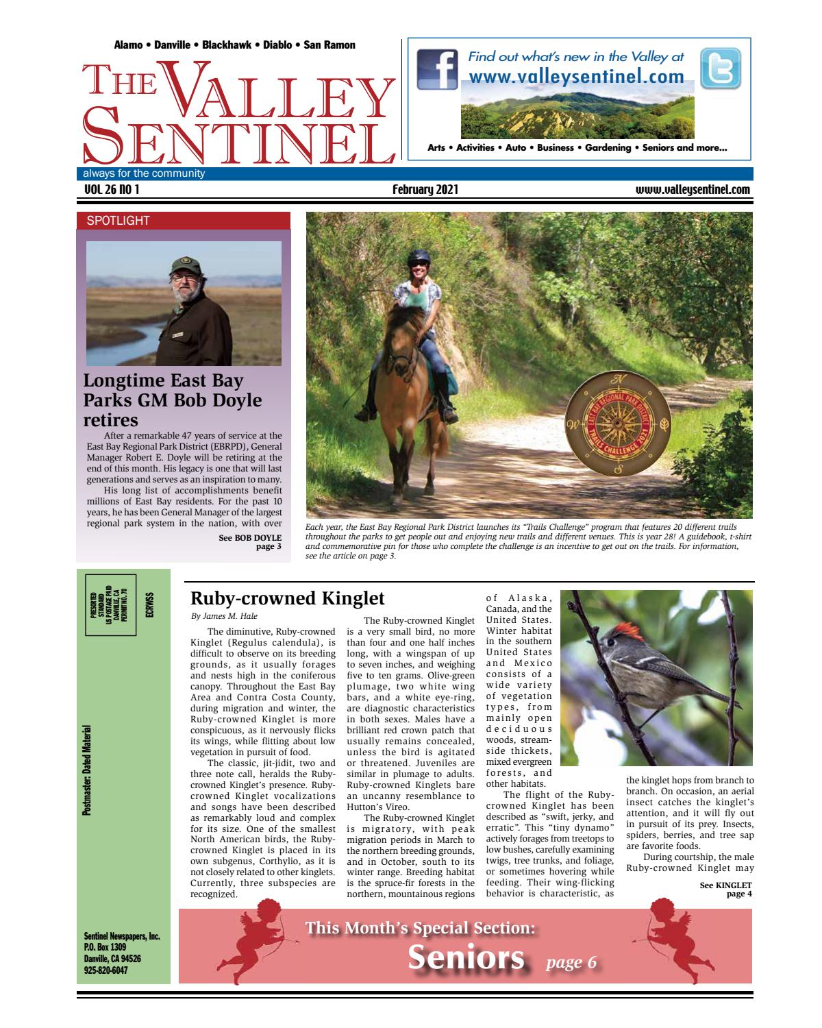 The Valley Sentinel_February 2021 by Sentinel Newspapers - Issuu