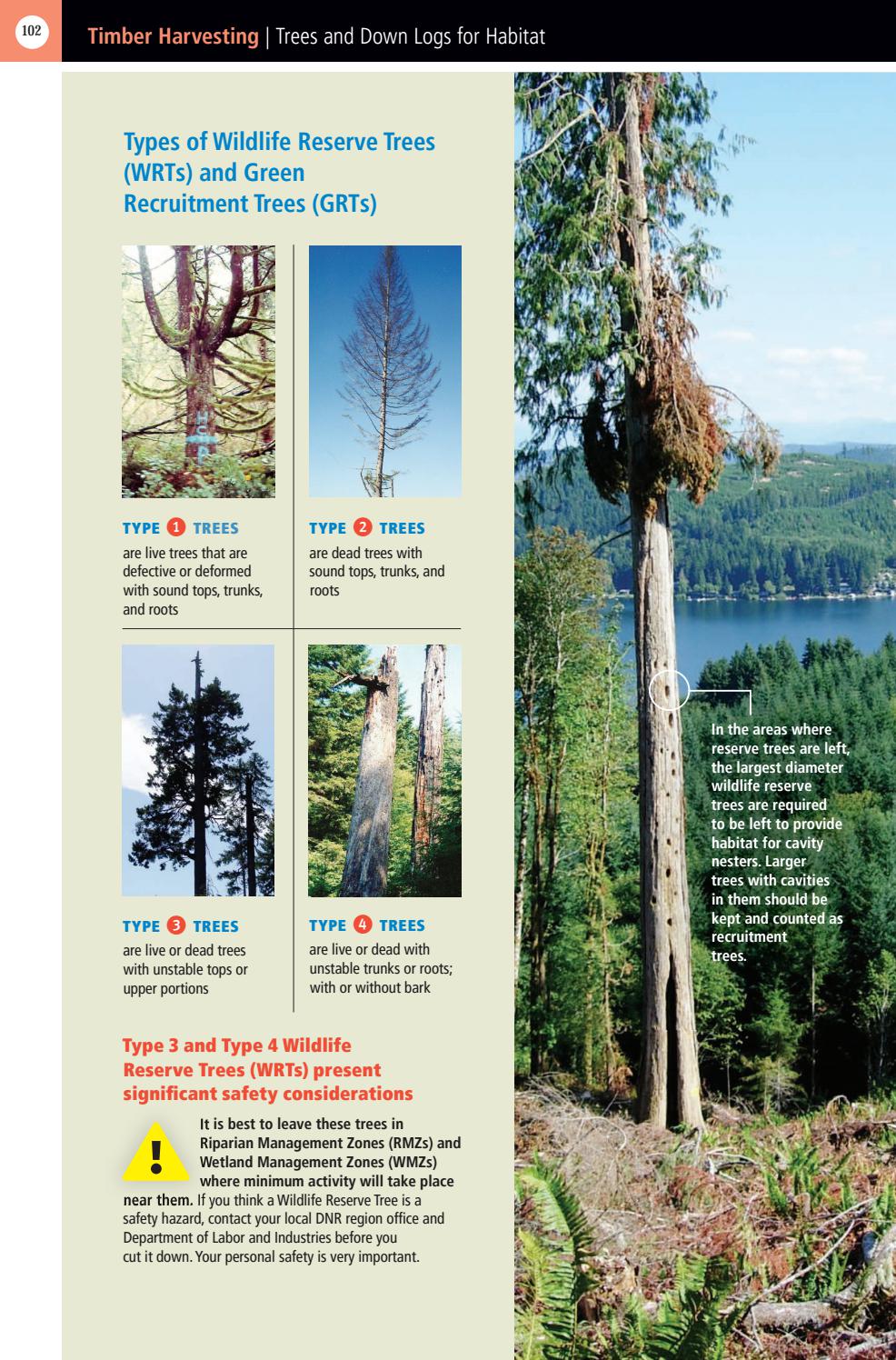 Washington State Forests Student Handout