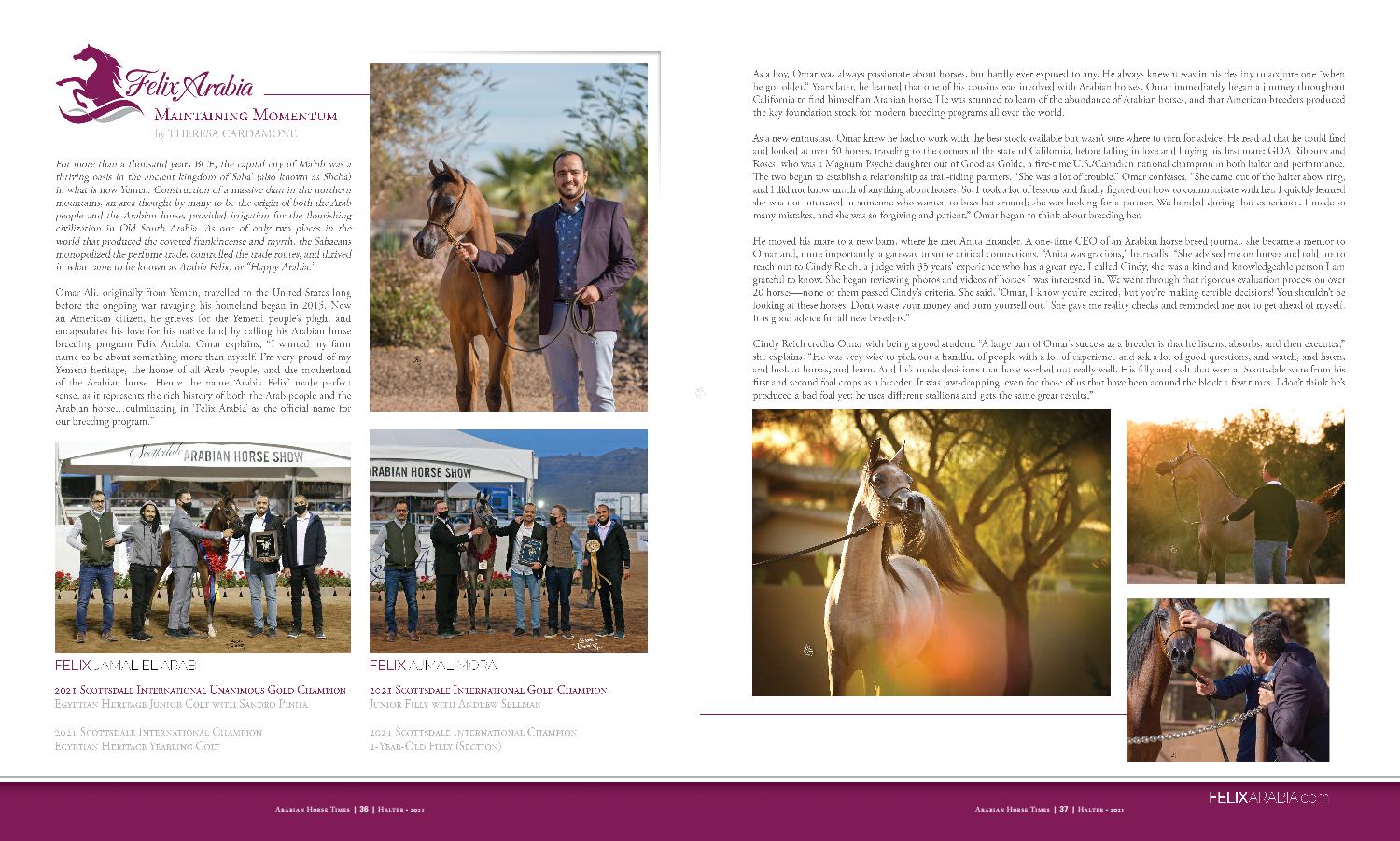 Felix Arabia by Arabian Horse Times - Issuu