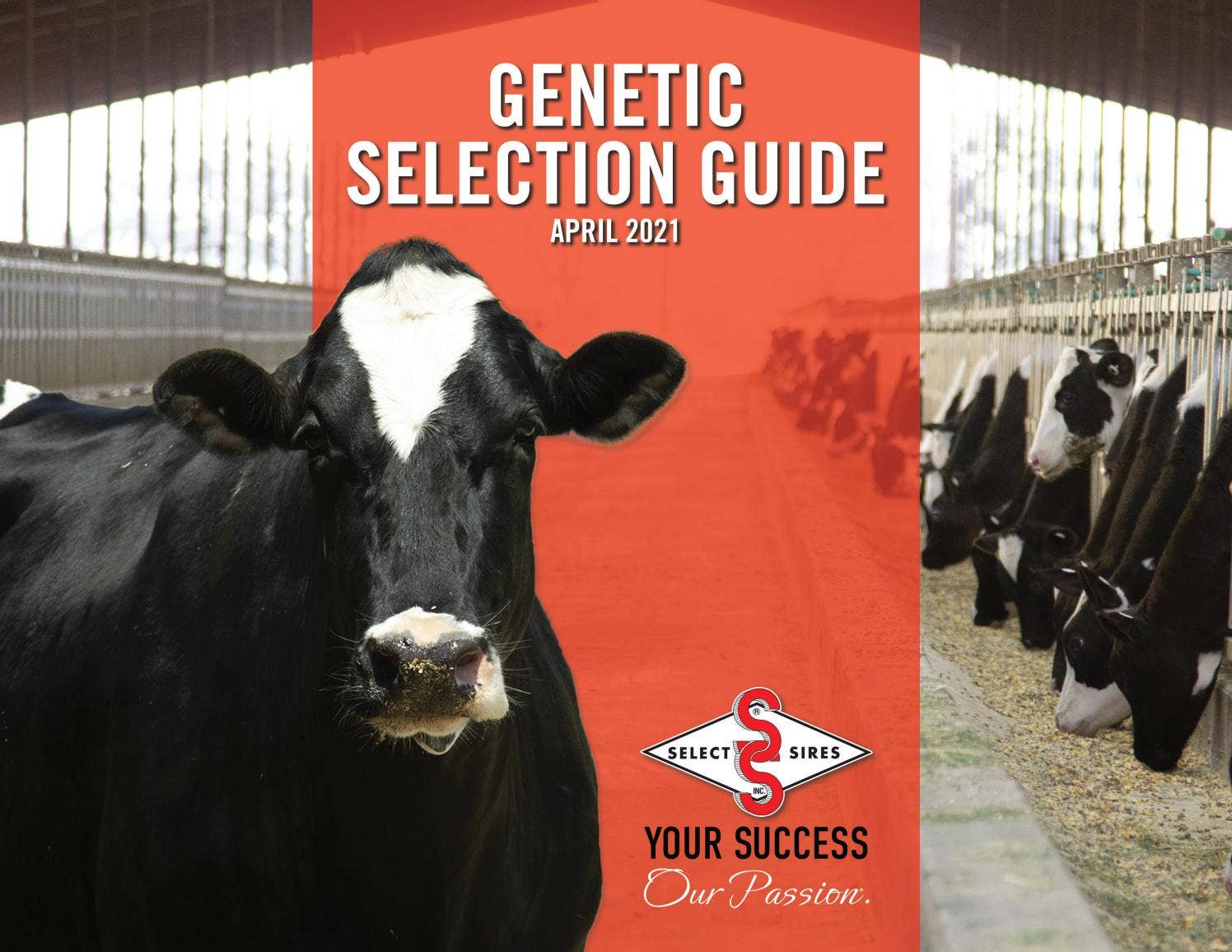 April 2021 Genetic Selection Guide by Select Sires - Issuu