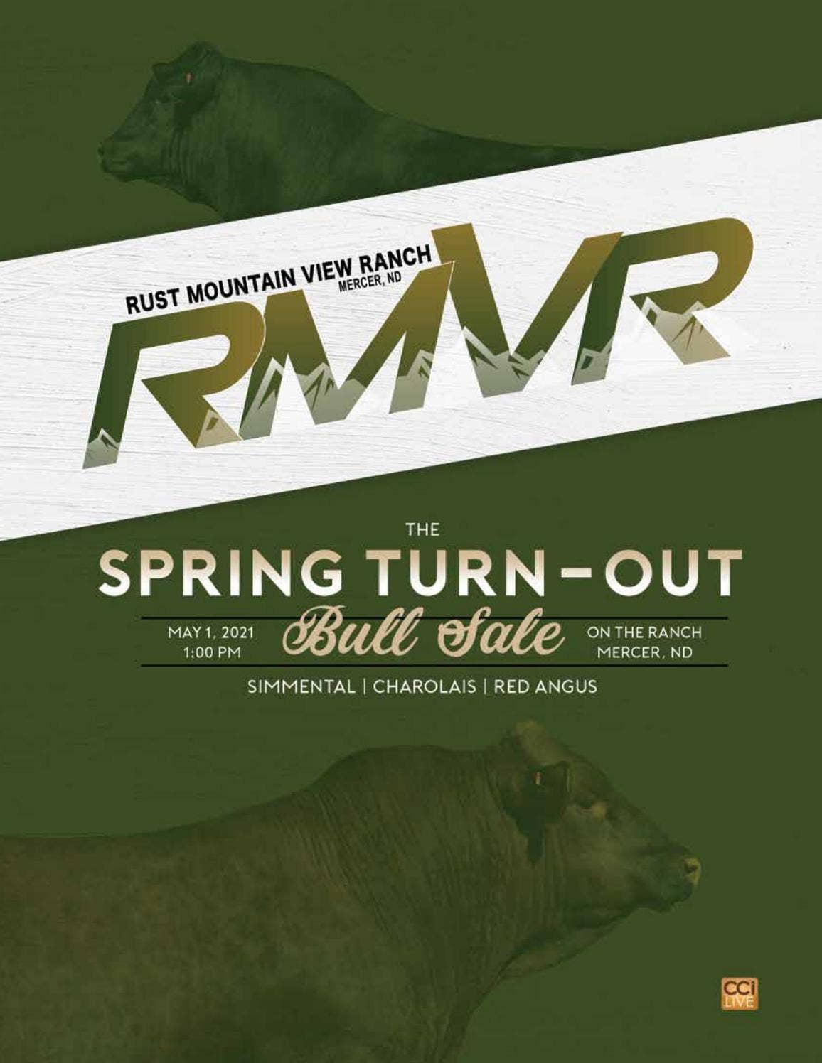 Rust Mountain View Ranch Spring Turn Out Bull Sale by Tracy McMurphy ...