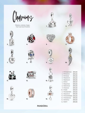 Pandora Garden 2021 - Ecuador by Pandora2023 - Issuu