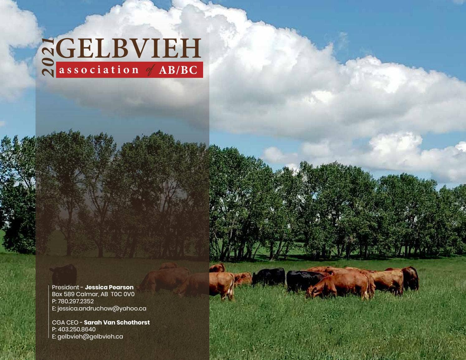 2021 GAABC Calendar by Coyote Publishing Ltd. - Issuu