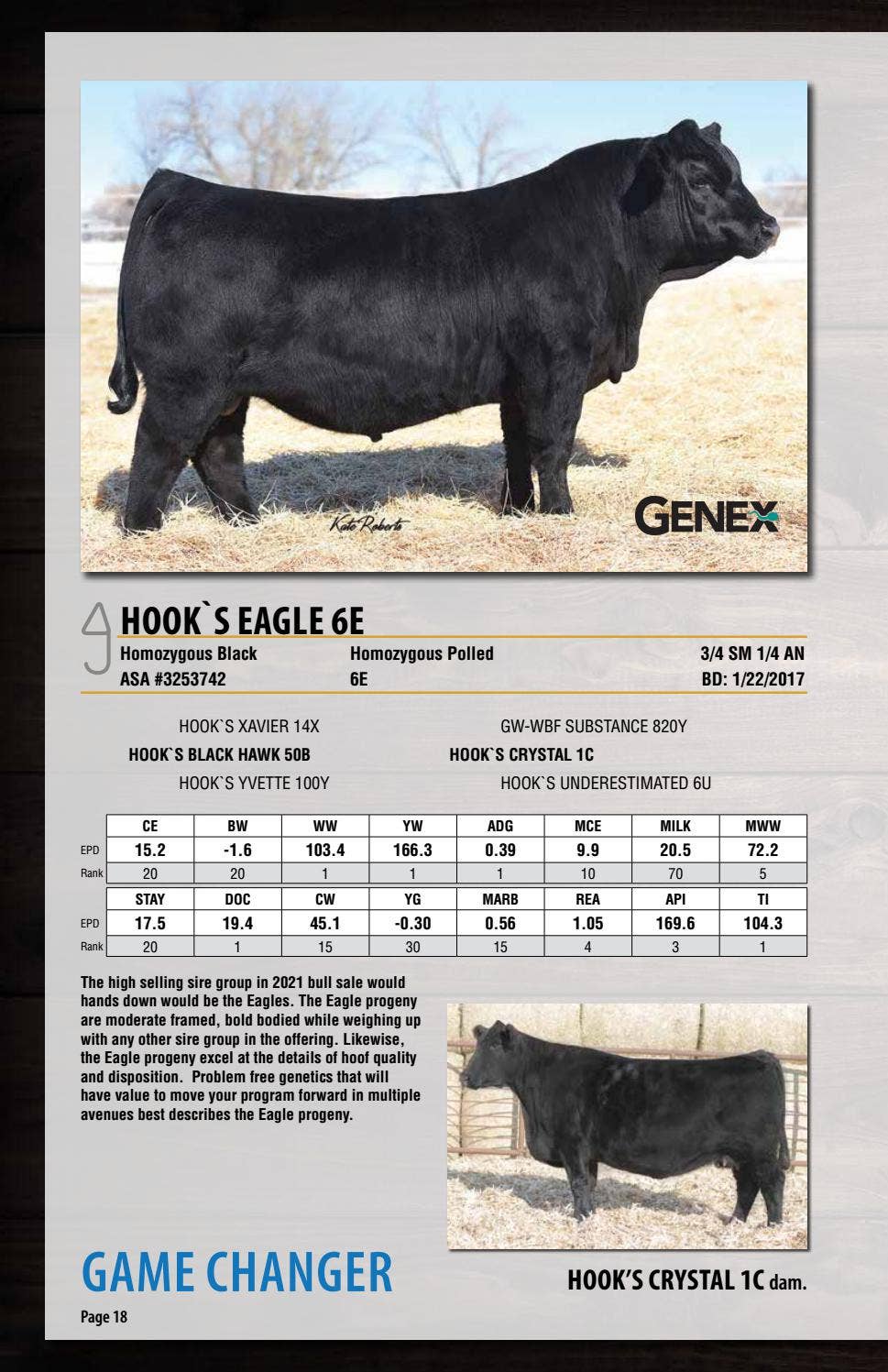 2021 Triangle J Ranch Semen Guide by Julie Murnin - Issuu