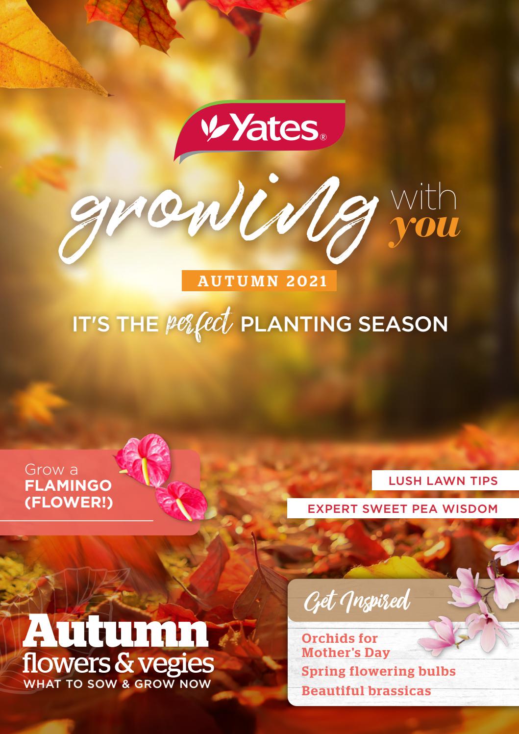 Yates Growing With You New Zealand - Autumn 2021 by Yates Gardening - Issuu