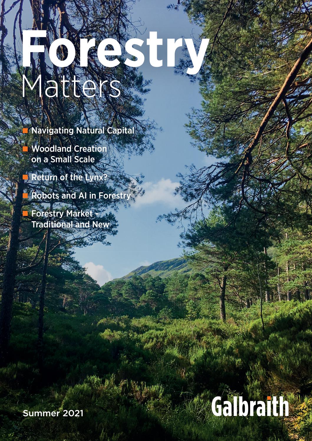 Forestry Matters Summer 2021 by Galbraith - Issuu