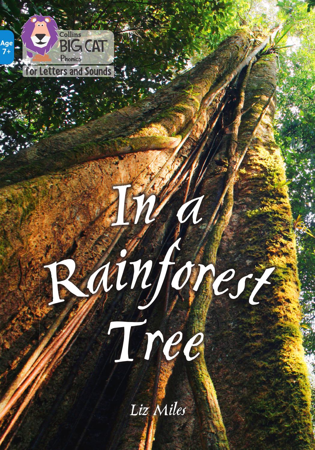 In a Rainforest Tree by Collins - Issuu