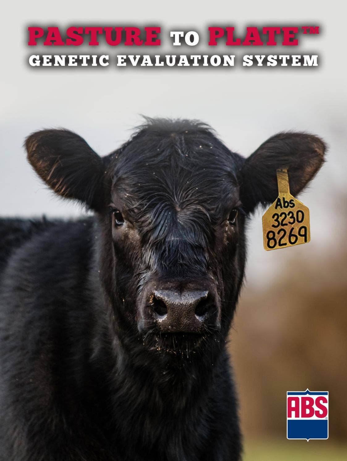 Pasture To Plate Genetic Evaluation System by ABS Global, Inc. - Issuu
