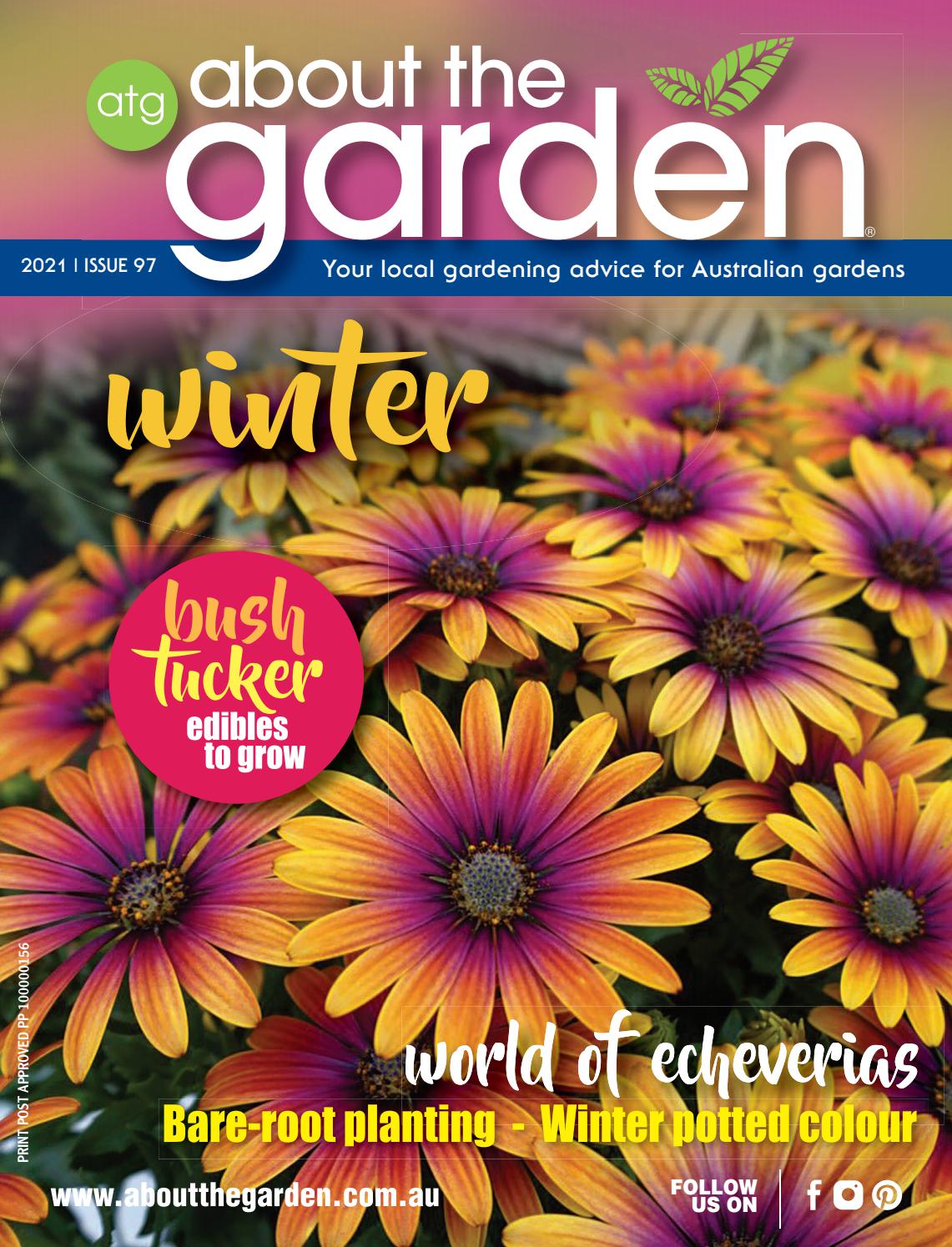 About the Garden Winter 2021 Garden Magazine by About the Garden ...