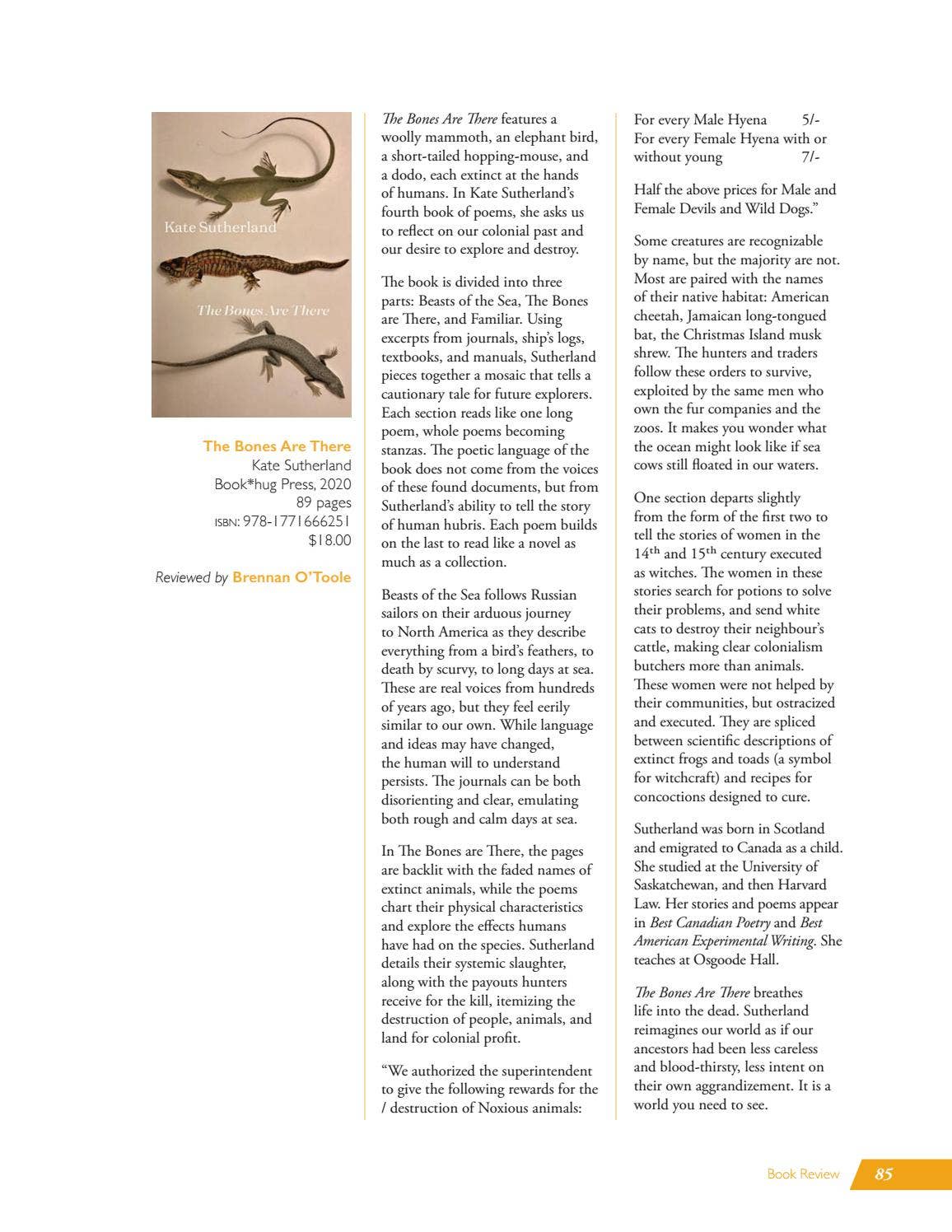 Portal 2021 by Portal Magazine - Issuu