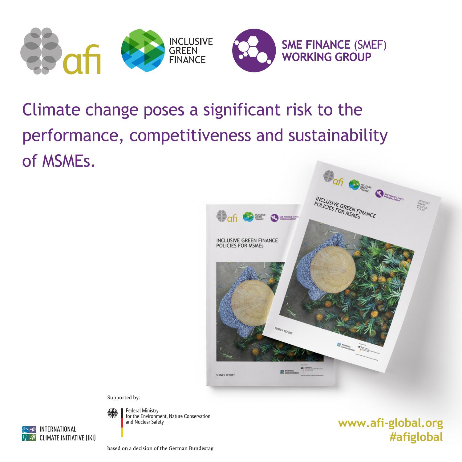Sliders Preview: Inclusive Green Finance Policies for MSMEs by Alliance ...