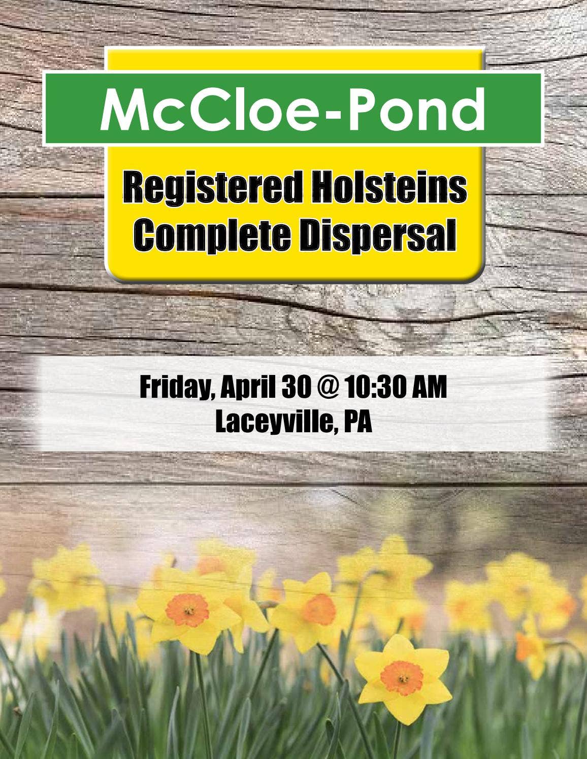McCloe-Pond Registered Holsteins Complete Dispersal by Daniel Brandt ...