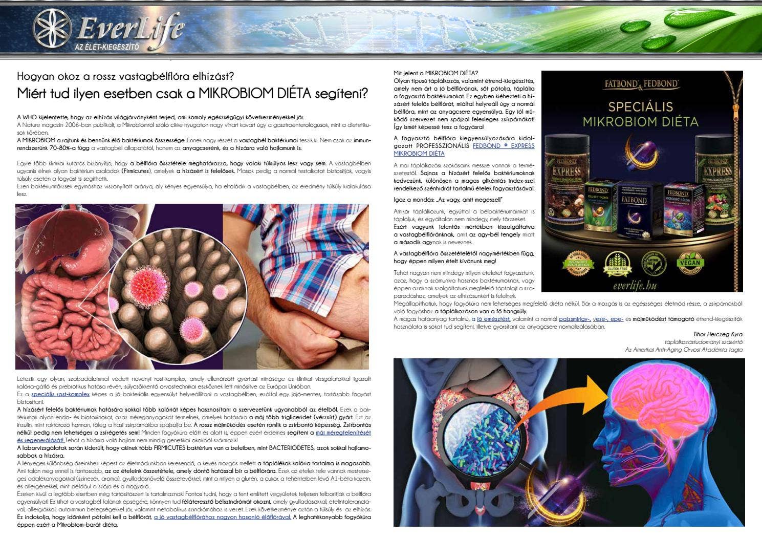 Everlife by LKG Media Kft - Issuu