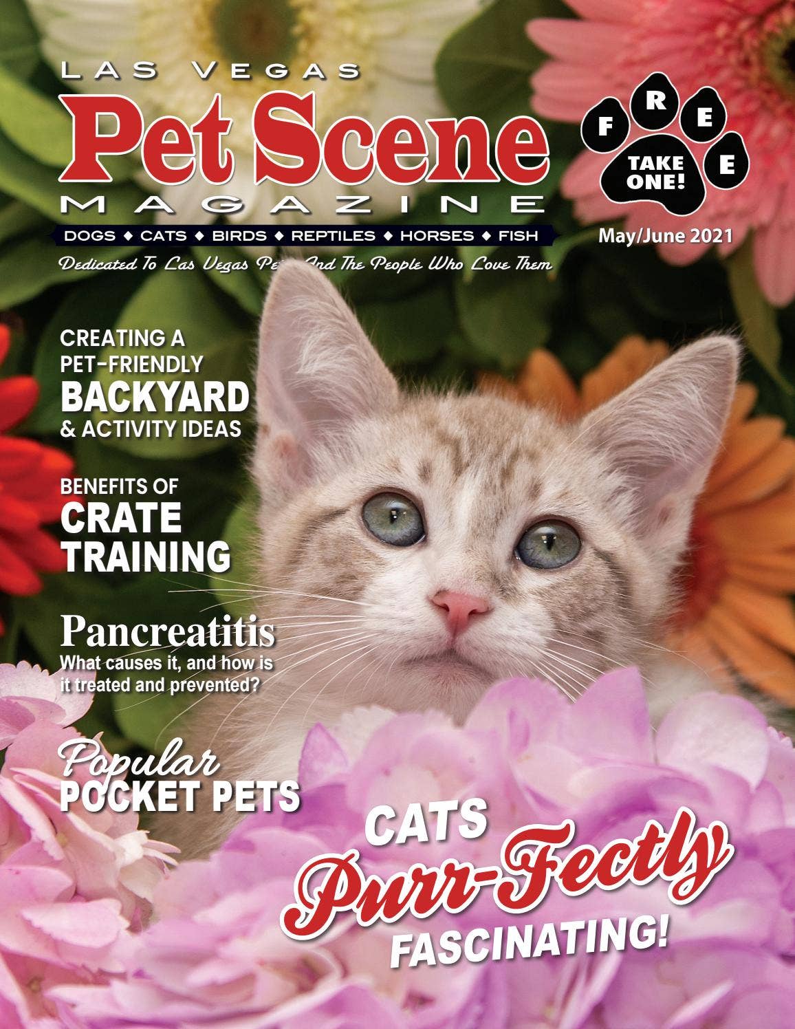 Las Vegas Pet Scene Magazine, May/June 2021 by Homes Illustrated/LV Pet ...