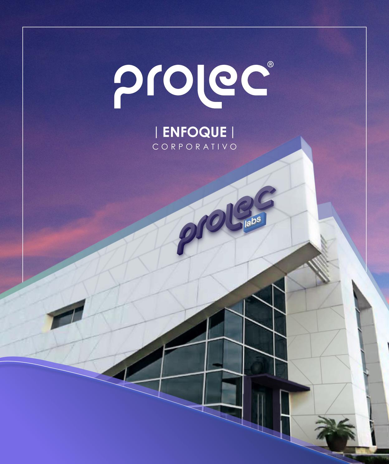 Prolec | GE - BBR Folleto Corporativo by The Boston Business Review - Issuu