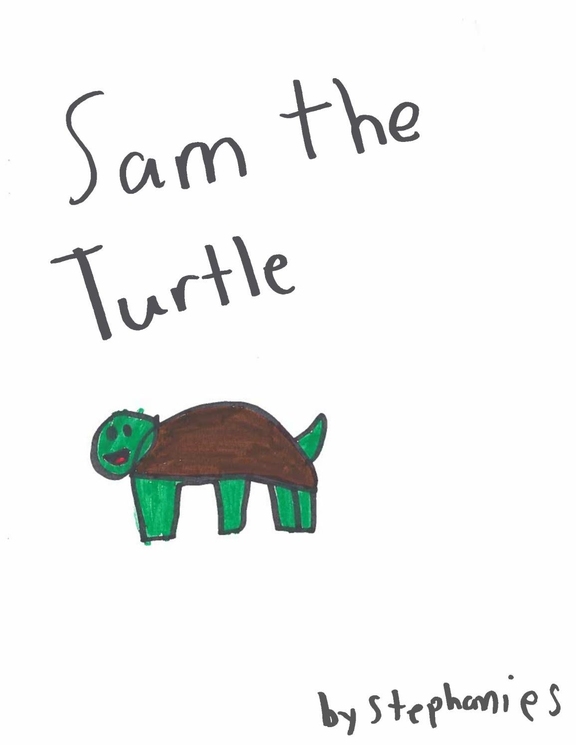 Sam the Turtle by WJCT - Issuu