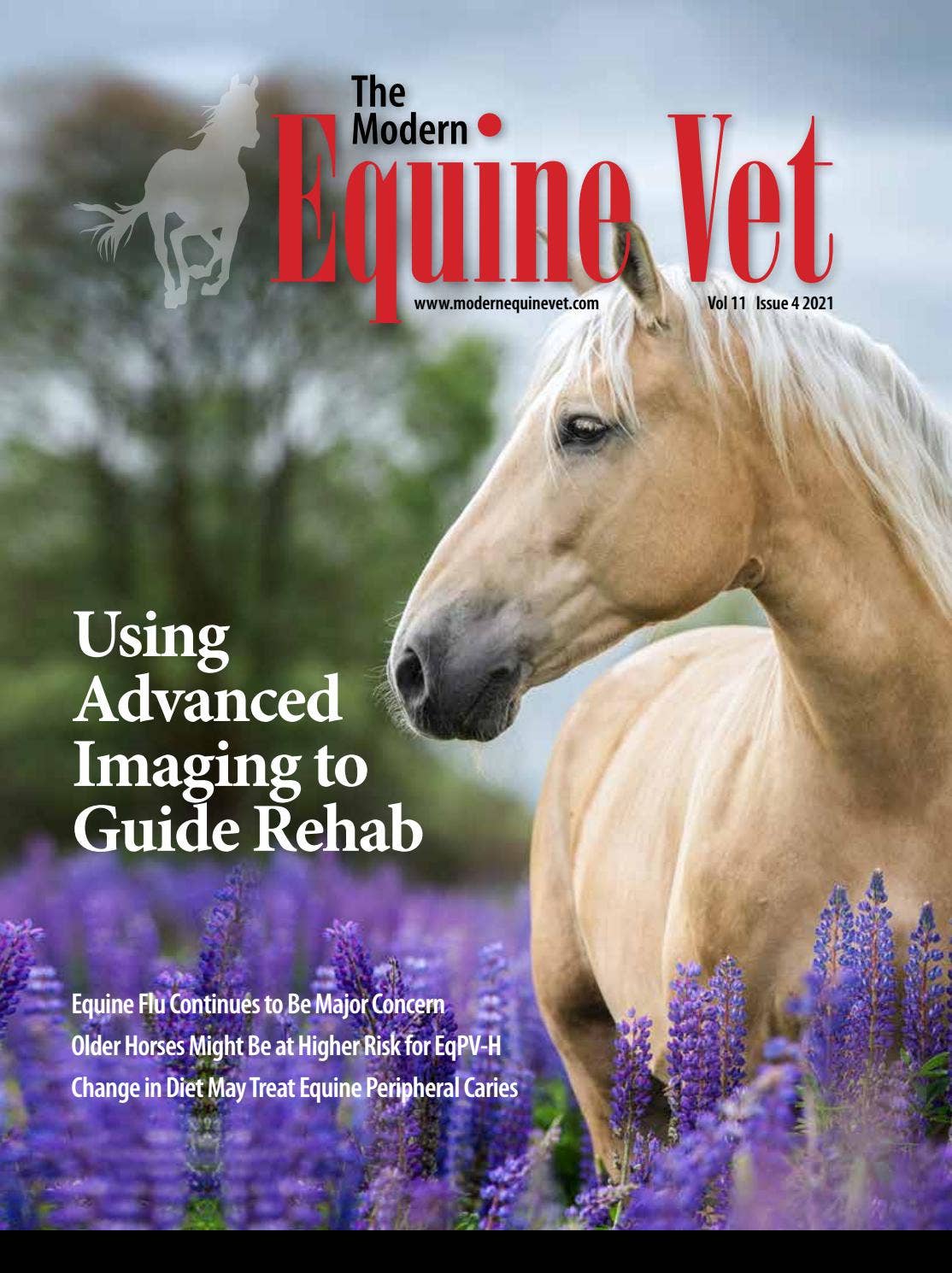 The Modern Equine Vet - April 2021 by The Modern Equine Vet - Issuu