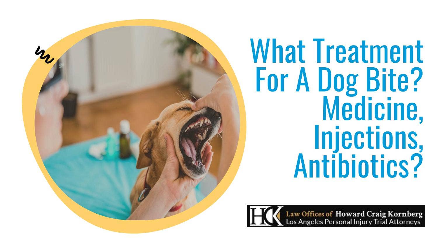 What Treatment for a Dog Bite? Medicine, Injections, Antibiotics? by ...