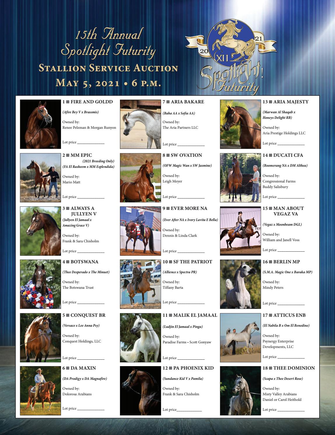 2021 Spotlight Stallion Lot Brochure by Arabian Horse Times - Issuu