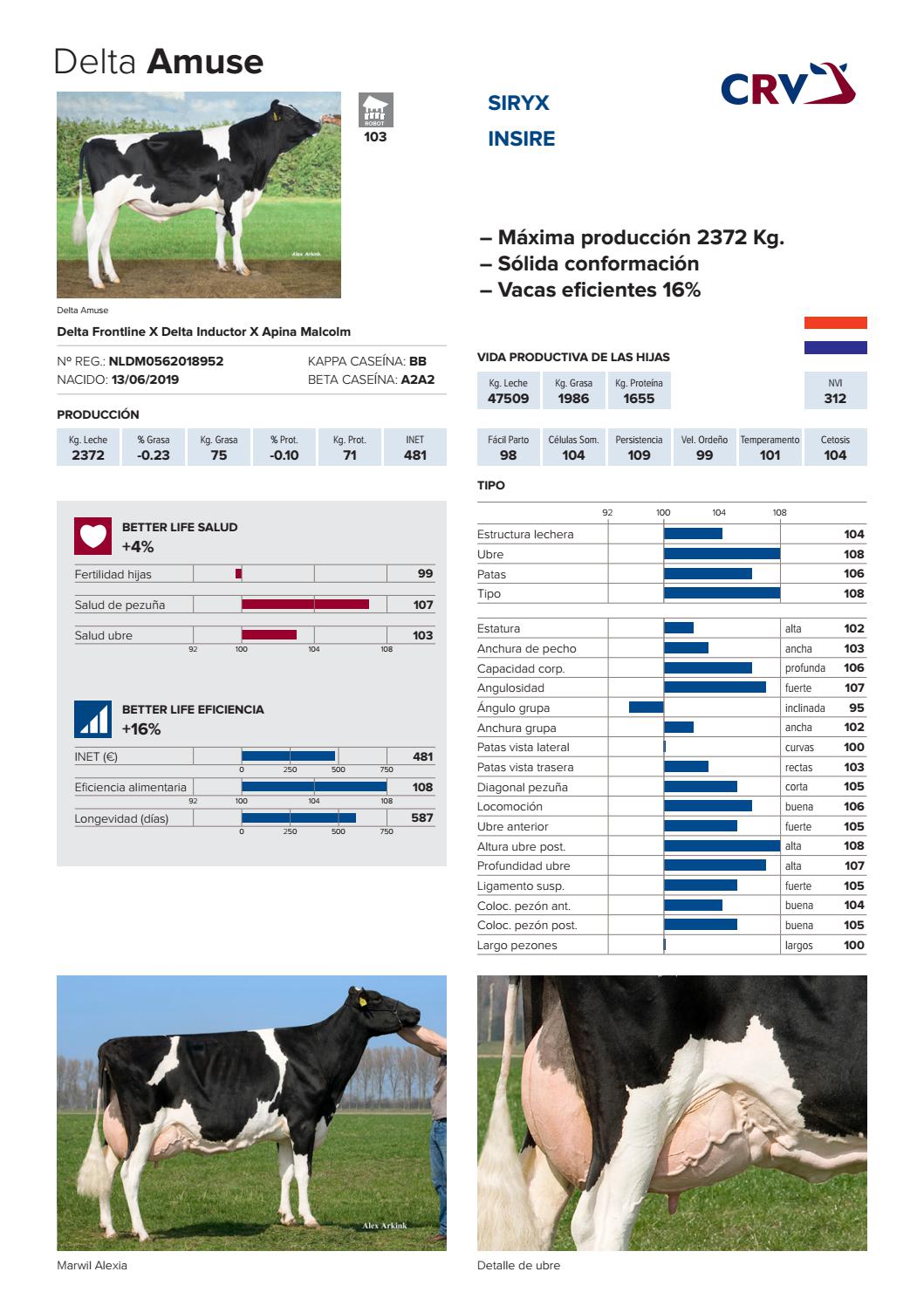 Delta Amuse by CRV Global Sales - Issuu