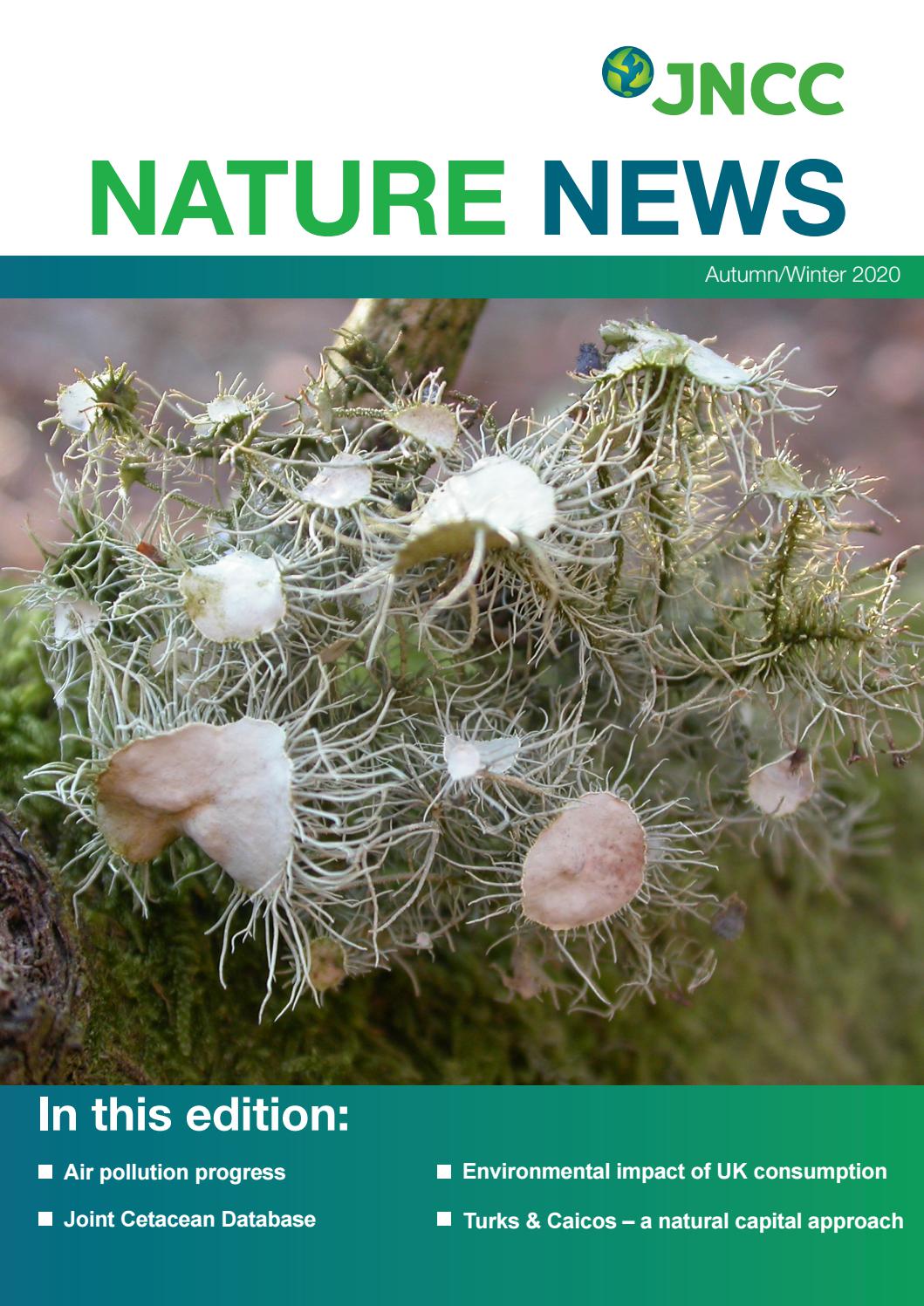 JNCC Nature News Autumn-Winter 2020 by jncc_uk - Issuu
