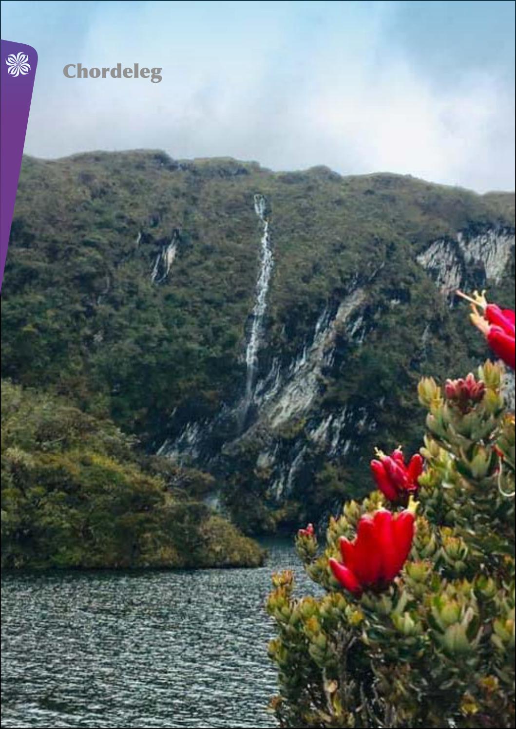 GUÍA DE CHORDELEG - PUEBLOS MÁGICOS 2021 by TurismoEC - Issuu